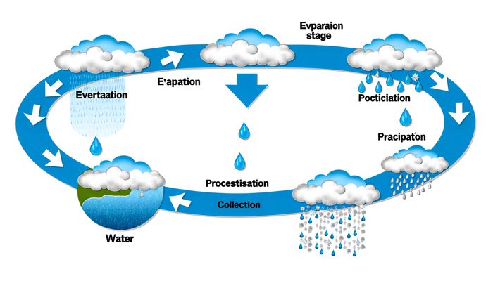 Water Cycle Collection Definition